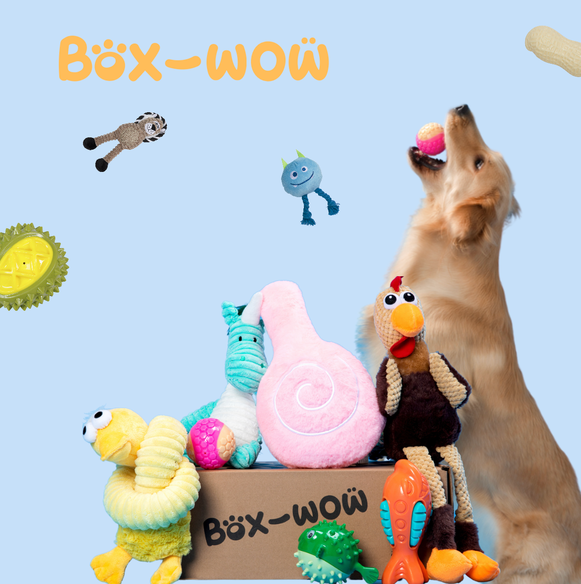 Box-Wow Subscription Box